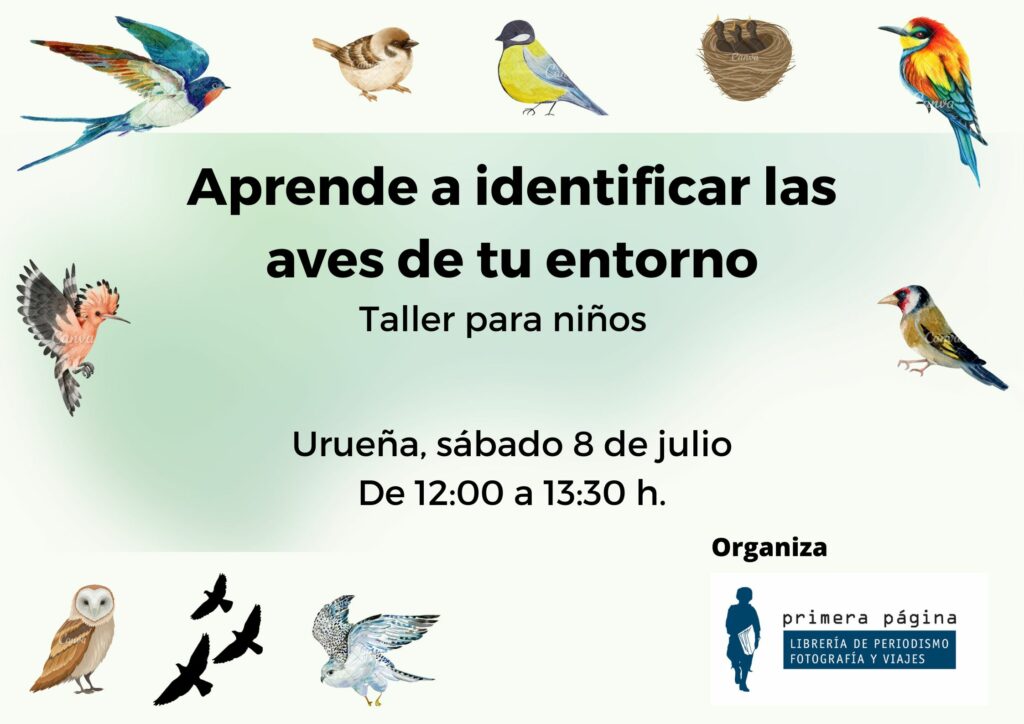 Taller de identificación de aves para niños - Primera Página